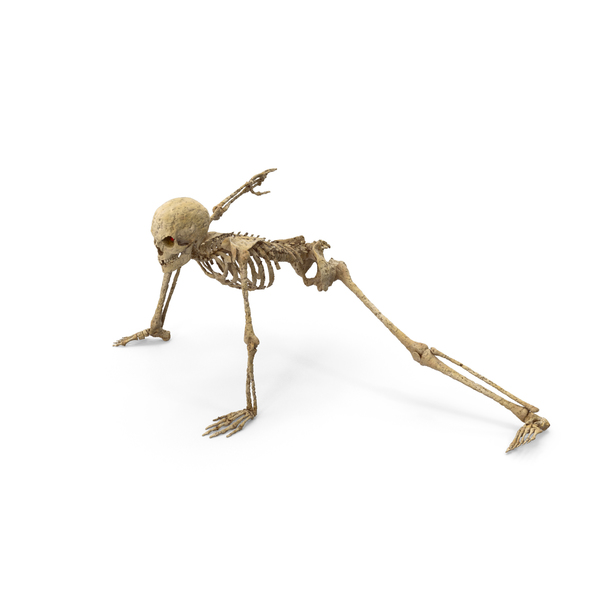 Characters PNG Images & PSDs for Download | PixelSquid