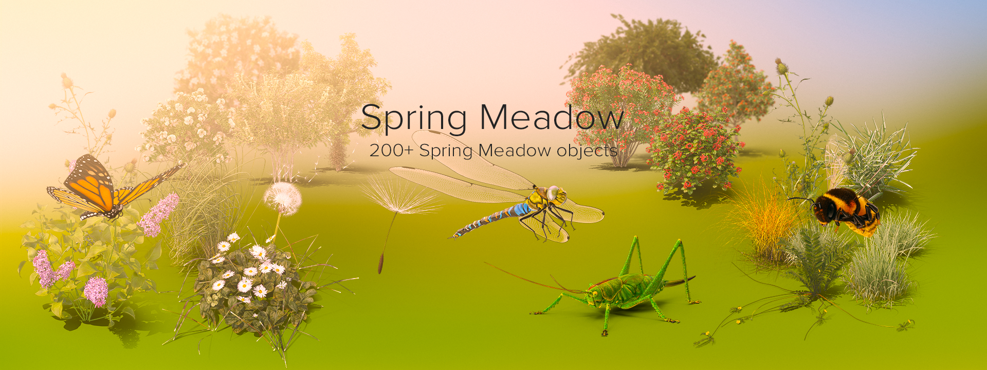 Spring Meadow Collection PNG Images & PSDs for Download | PixelSquid
