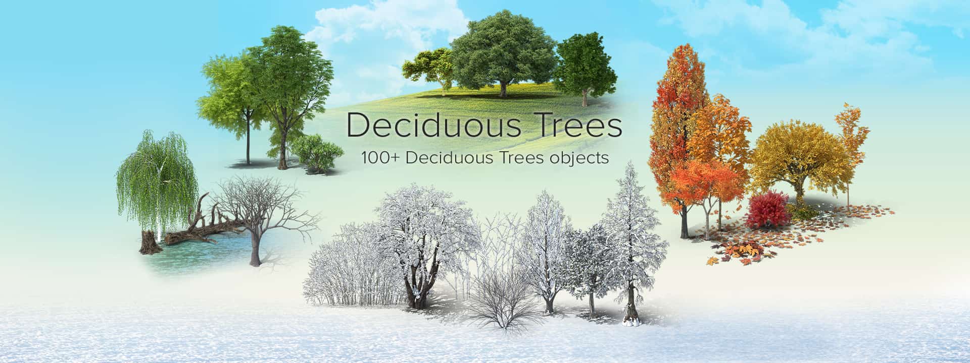 Deciduous Trees Collection PNG Images & PSDs for Download | PixelSquid